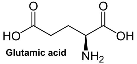 Amino Acid Structure Glutamate At Luca Waldock Blog