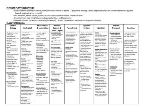 Anatomy Reproductive System Pdf