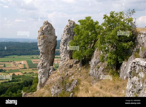 Walberla High Plateau In Ehrenbuerg Nature Reserve Kirchehrenbach Franconian Switzerland