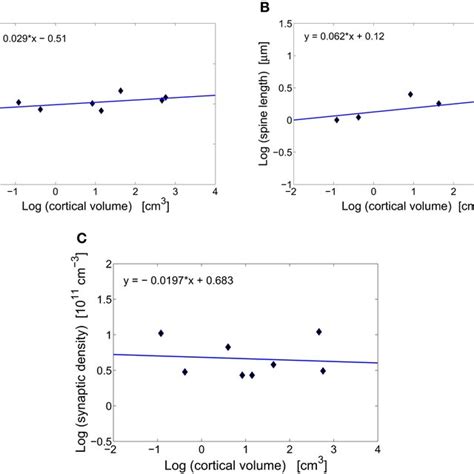 Scaling Of Synaptic Characteristics With Cortical Volume A Download Scientific Diagram