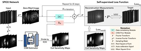 Spicer Self Supervised Learning For Mri With Automatic Coil Sensitivity Estimation And