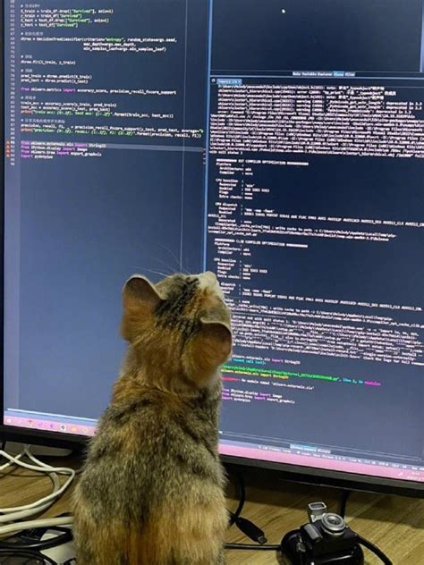 A Cat Obsessed With Code 😂 Rfunnyanimals