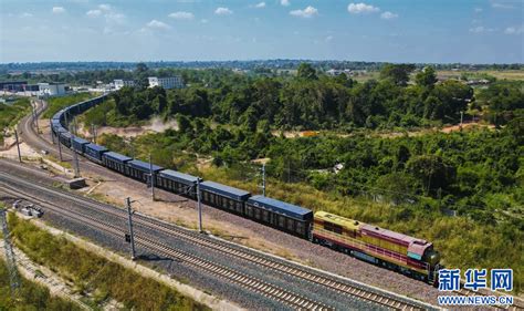 助力“榴莲自由”！中老铁路今年发送水果量突破10万吨 新华网