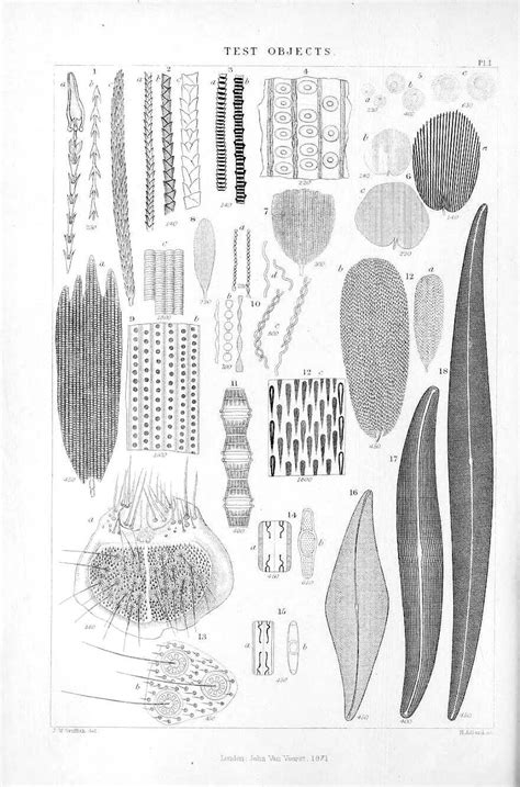 Test Objects From The Micrographic Dictionary