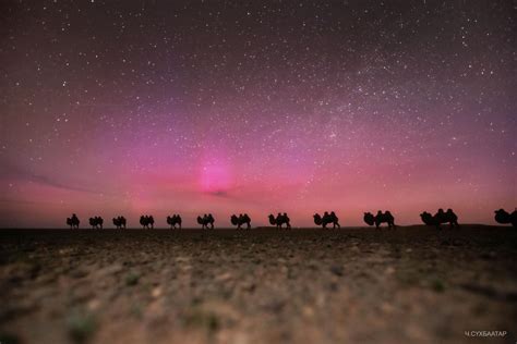 ФОТО Туйлын туяа