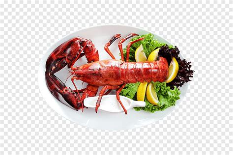랍스터 테르미도르 왕새우 음식으로 해산물 Palinurus Elephas 대형 보스턴 랍스터 갑각류 음식 Png Pngegg