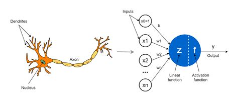 The Concept Of Artificial Neurons Perceptrons In Neural Networks By