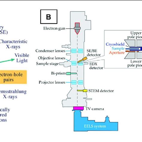 A C Illustration Of Conventional And 4d Stem And De 4d Stem