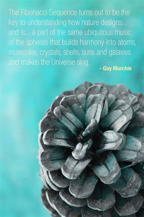 Fibonacci Quotes Science Mathematics Fibonacci Spiral And Aristotle