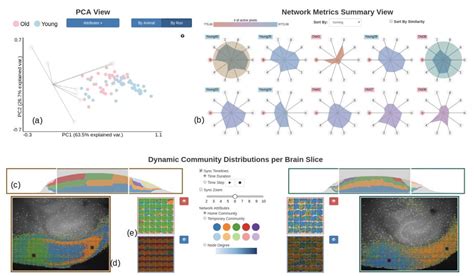 Evl Visual Analysis Techniques For Dynamic Biological Networks