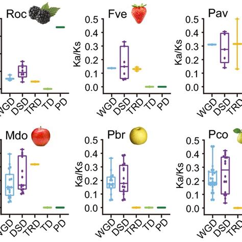 Comparison Of Ka Ks And Kaks Values For Different Modes Of Gene