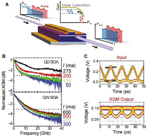 Cross Gain Modulation Of A Semiconductor Optical Amplifier Soa The