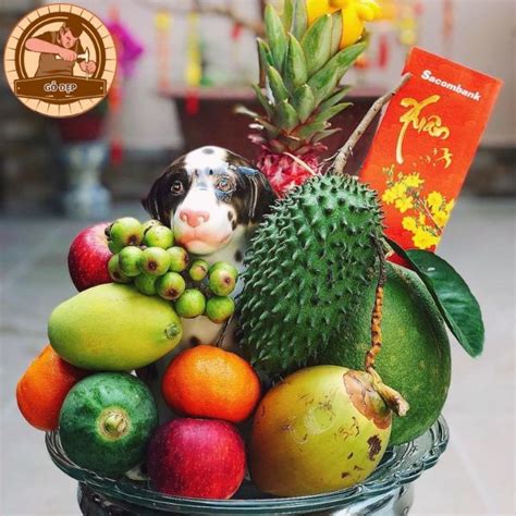 Giải đáp Ý Nghĩa 5 Loại Quả Thắp Hương Bàn Thờ Ngày Tết