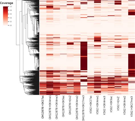 Hierarchical Clustering Of Chip Seq Peak Coverage In Intra A