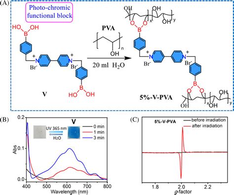 Dynamic Color‐tunable Ultra‐long Room Temperature Phosphorescence