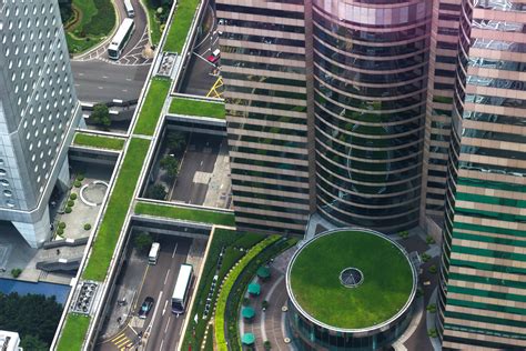 Carbon Cost Management Balancing Carbon And Cost