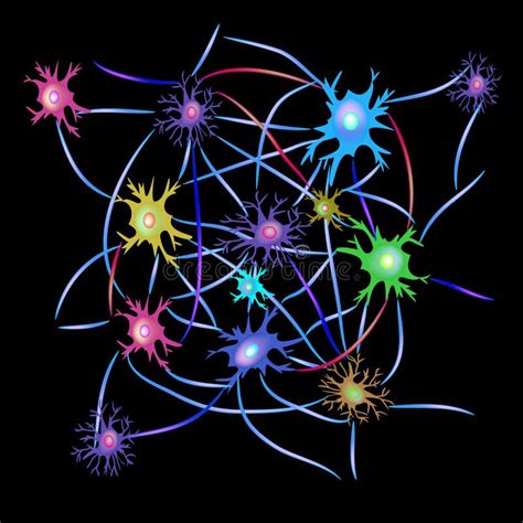 Synapse Vector Illustration Labeled Diagram With Neuromuscular Example