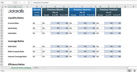 Financial Ratios Excel Template