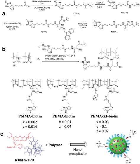 Design And Synthesis Of Biotinylated Dye Loaded Polymeric Nanoparticles