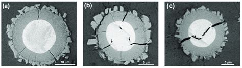 Sem Micrographs Of Crack Having Core Shell Structured Reinforcing