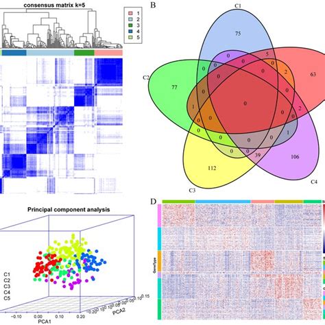 A Sample Clustering Heat Map When Consensus K Is 5 B Intersection