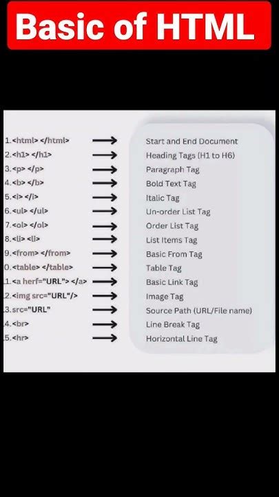 Basic Of Html 💯shorts Short Youtubeshorts Viral Trending