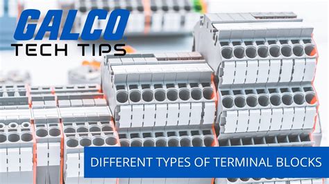 Types Of Terminal Devices At Beau Galway Blog