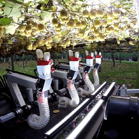 The Kiwifruit Harvesting System With Four Robot Modules Download Scientific Diagram