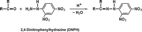 The Reaction Between Carbonyls And 2 4 Dinitrophenylhydrazin Dnph