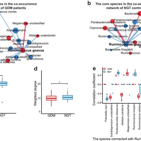 Analysis Of Core Species In Gut Bacterial Co Occurrence Network In Gdm