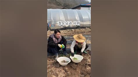 주서방 연락 안되면 장인어른한테 걸린중만 알오 밸런스게임 임영웅 주말농장 Youtube