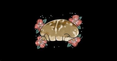 Thicc Frog Frog Sticker Teepublic