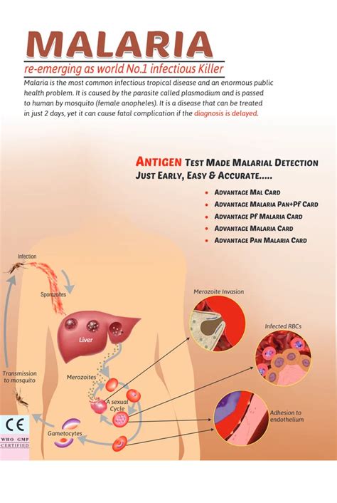 Jmitra Mal Malaria Card At ₹ 16piece Malaria Kit In Jaipur Id