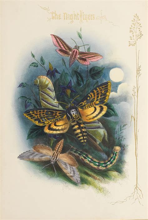 Bonhams Jerrard Paul And Son Publishers The Night Flyers A Series