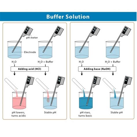 382209 Buffer Solution Ph 700 Packaging Size 10 At ₹ 375ml In
