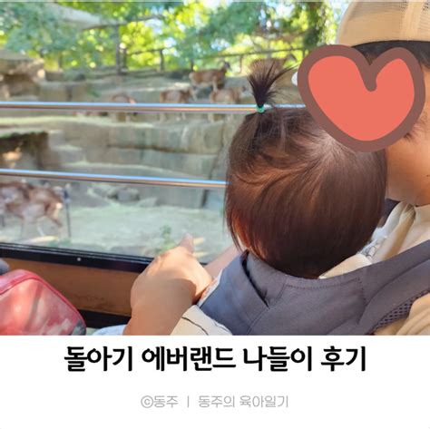 돌아기 에버랜드 평일 방문후기 동선 이용팁 사파리 로스트밸리 판다월드 물개 관람 스압주의 네이버 블로그