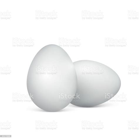 흰색 배경에 흰색 계란입니다 건강 한 음식입니다 부활절 상징입니다 벡터 일러스트 레이 션 3차원 형태에 대한 스톡 벡터 아트 및 기타 이미지 Istock