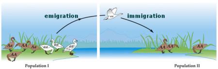 Immigration Biology