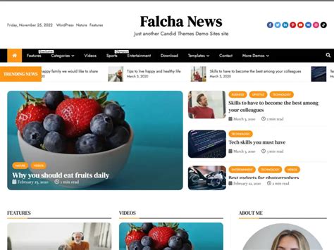 Falcha News Free Blogging Wordpress Theme Download