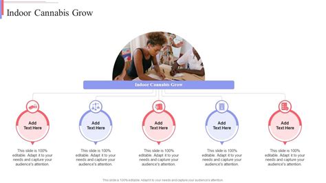 Indoor Cannabis Grow In Powerpoint And Google Slides Cpp PPT Presentation
