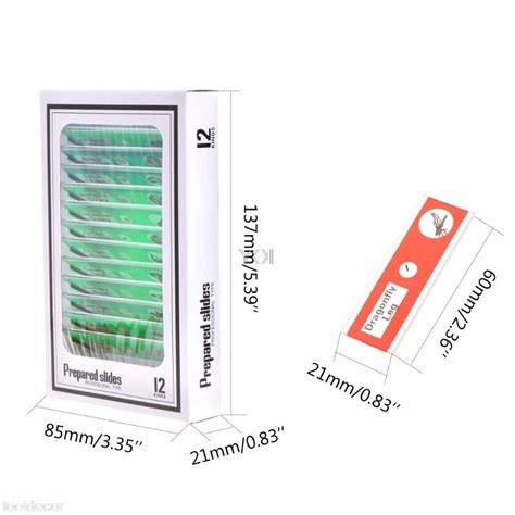 12 Pcs Prepared Microscope Slides Set Specimen For Vicedeal