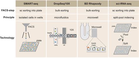 Examples Of Frequently Used Single‐cell Transcriptomics Platforms