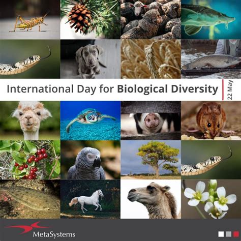 Metasystems International On Linkedin International Day For Biological