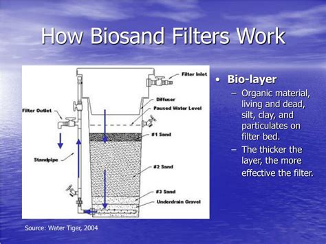 Ppt Biosand Filtration Bsf Powerpoint Presentation Free Download