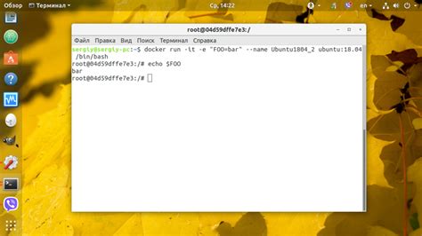 Запуск контейнера Docker Losst