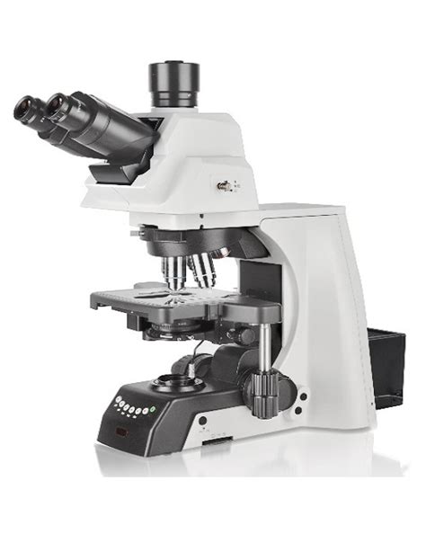 Bs 2083 מיקרוסקופים ביולוגיים עם הגדלה נדרשת Yarden Biotec