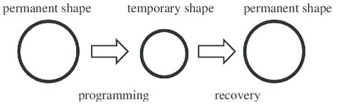 Schematic View Of The Thermally Induced Shape Memory Effect Download Scientific Diagram