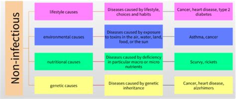 Eq1 1a Classifying Diseases Flashcards Quizlet