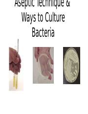 Aseptic Technique Bacteria Culture Overview And Procedures Course Hero