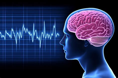 Neural Processing Neurostimulation Brain Visualization And Neural Data